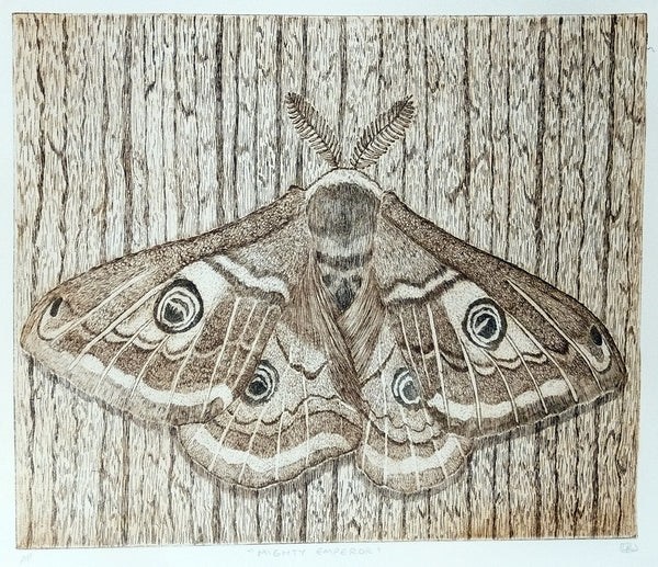 Emperor Moth - Print Witchery